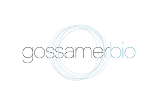 Gossamer shares plummet after latest DP2 drug setback | Biotechnology ...